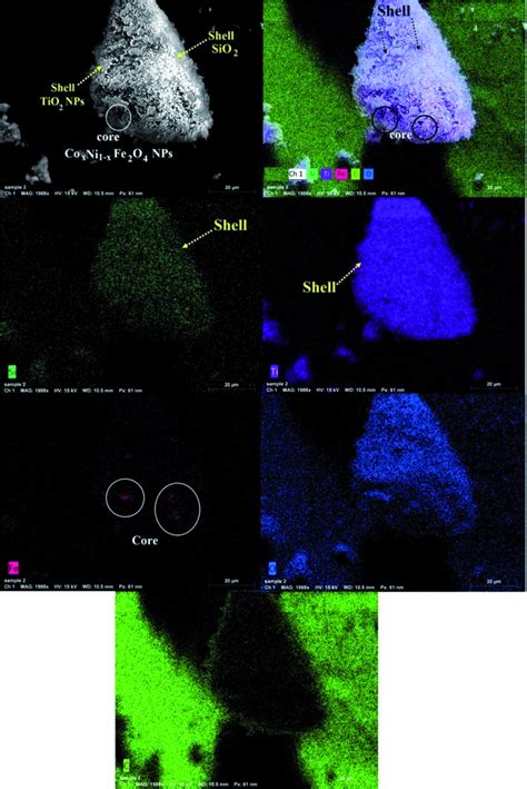 Sem Edx Elemental Mapping Of The Synthesized Coxni1−xfe2o4 Sio2 Tio2 X Download Scientific