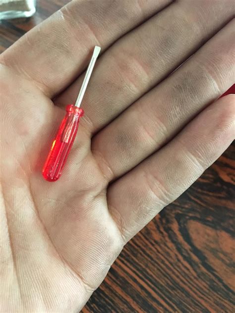 My Husband Found This Tiny Screwdriver In Our Garden R Aww