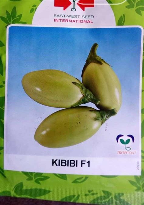 African Kibibi Eggplant Seed East West 1000 Seeds Hts Farms