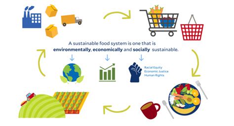 Yale Experts Explain Sustainable Food Systems Yale Sustainability