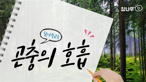 나무의사 곤충의 호흡 방법 및 과정 참나무교육 Youtube