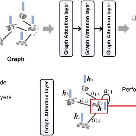 Graph Convolutional Neural Network Used For The Learning Of The Protein Download Scientific