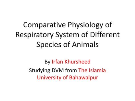 Evolution Of Respiratory System Pptx