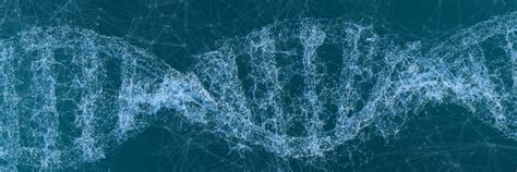 Developmental Disorder Variants Found In Non Coding Genome Genomics Education Programme