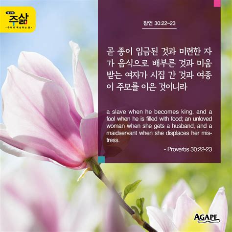 아가페 세상과 짐승을 통한 비유 잠언 3021 33 종이 임금 되고 미련한 자가 배부르며 미움받는 여자가 시집가고 여종이 주모를 잇는 모습을 묘사한다 개미 사반