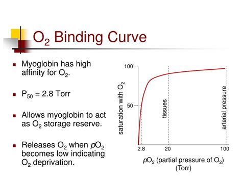 Ppt Myoglobin And Hemoglobin Powerpoint Presentation Free Download