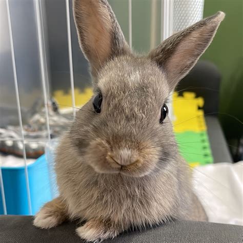 Moojoo Baobao Youtube