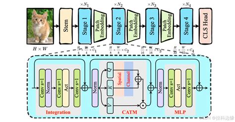 Yolov11改进，yolov11添加cas Vit（卷积加自注意力视觉变压器）中additiveblock模块，二次创新c3k2结构 Csdn博客