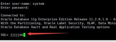 Oracle Sqlplus 中上下左右 退格键无法使用解决方法sqlplus 写sql无法退格 Csdn博客