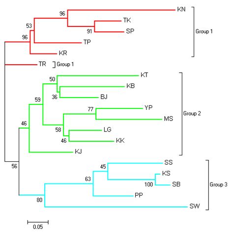 6 the unrooted neighbor joining tree inferred from multilocus