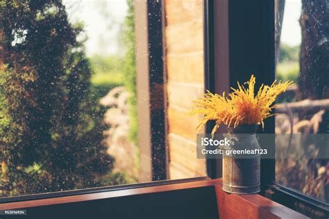 카페 빈티지 커피가 게 장식 아이디어에에서 나무 테이블에 건조 식물 및 유리 항아리에 꽃 장식 0명에 대한 스톡 사진 및 기타