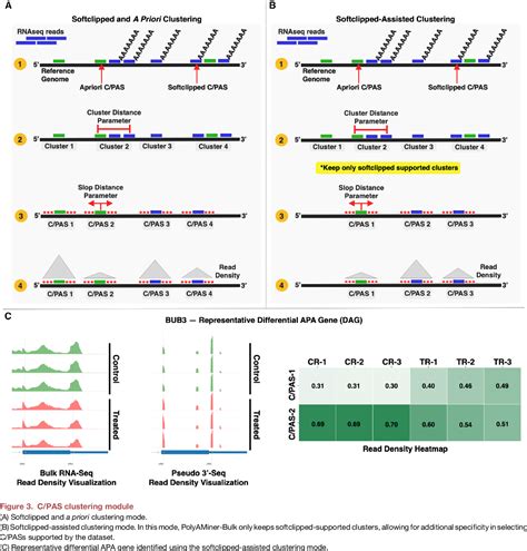 Figure 3 From Polyaminer Bulk Is A Deep Learning Based Algorithm That