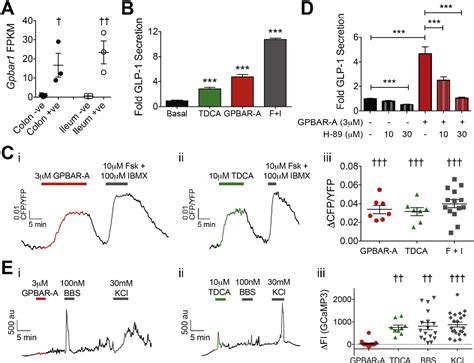 Glucagon Rdna 1 Mg Injection Semantic Scholar