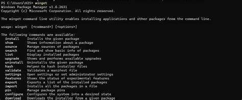 在 Windows 11 或 10 上使用 Powershell 安装 Docker Desktop 莱卡云