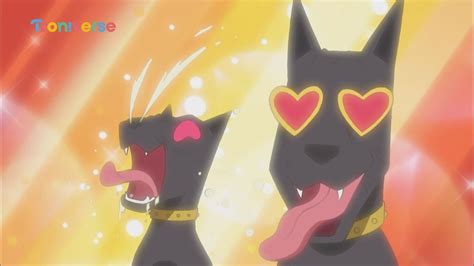 파파독 최고의 등장씬 Zum Tv