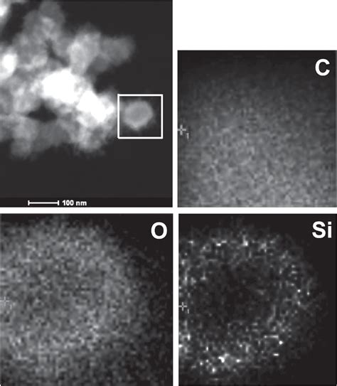 Figure 2 From Carbothermal Synthesis Of β Sic Powders From Silicon And Sio2 Coated Carbon