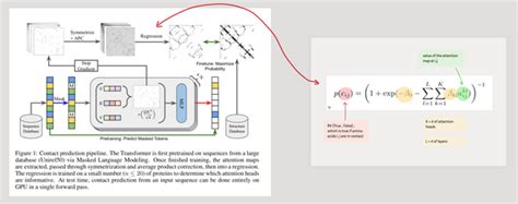 Esm 2 Evolutionary Scale Prediction Of Atomic Level Protein Structure With A Language Model
