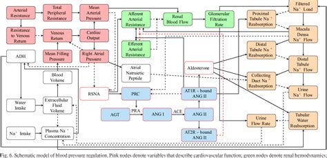 Figure 1 From Review Integrative Cardiovascular Physiology And Pathophysiology Understanding Sex