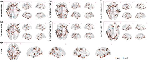 figure 7 from anatomy guided spatio temporal graph convolutional
