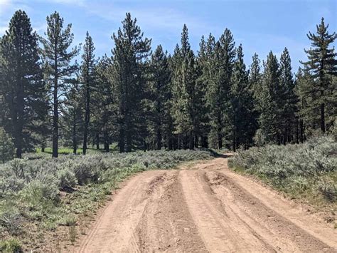 Beckwourth Tie Nf23n03y Off Road Trail Maps Difficulty Trail