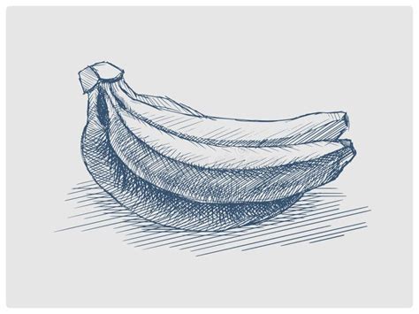 Banana Hand Drawn Blue Sketch Vector Stock Vector Illustration Of Vector Vintage 272887598