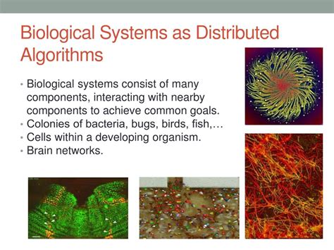 Ppt Distributed Algorithms And Biological Systems Powerpoint Presentation Id