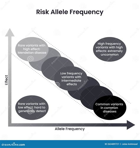 Risk Allele Frequency Genome Sciences Vector Illustration Infographic Stock Vector