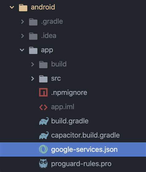 Firebase Authentication Ionic 5 Full Starter App