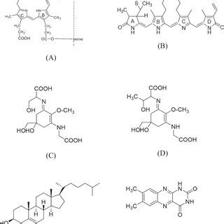 Structures Of R Phycoerythrin A Phycocyanobilin B Shinorine C