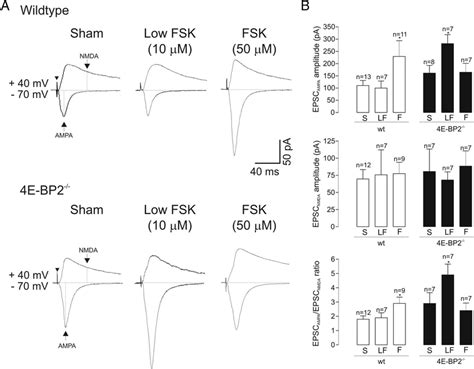 Facilitation Of Ampar Nmdar Ratio Of Evoked Epscs During Cl Ltp In