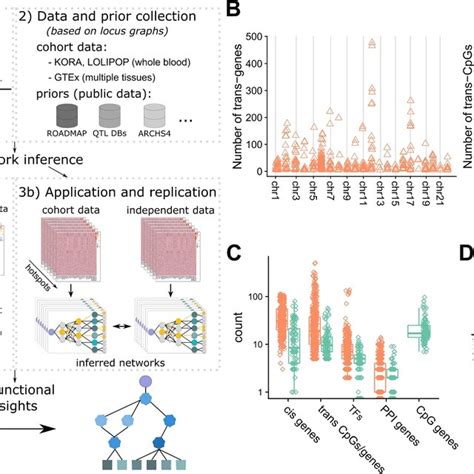 Project Overview A A Graphical Abstract Of The Analyses Performed In Download Scientific