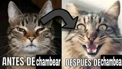 Últimos Memes Memedroid