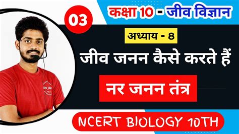 नर जनन तंत्र Male Reproductive System Jeev Janan Kaise Karte Hain