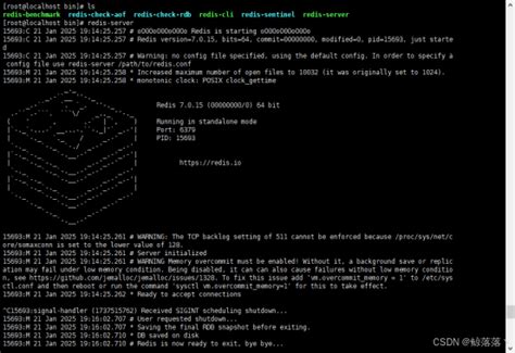 Linux安装redis，并配置redis开机自启（图文版），超详细！！！linux启动redis Csdn博客