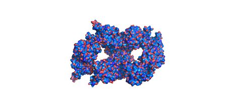 Research Brad Pierce Ph D