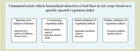 Unmanned Aerial Vehicle Hierarchical Detection Of Leaf Blast In Rice Crops Based On A Specific