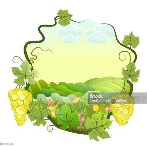 노란 포도무리가 있는 시골 의 구릉지대 풍경 포도 재배 및 농업 흰색 배경에 격리 조밀한 덤불에 열매가 있는 가지 젊은 포도원 달콤한 가을 수확 벡터 가을에 대한 스톡 벡터