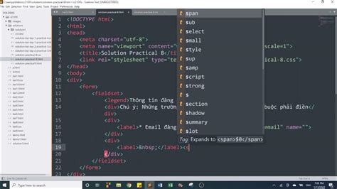 Html5 Css3 Javascript So Solution Bài Tập Tạo Form Practical 8