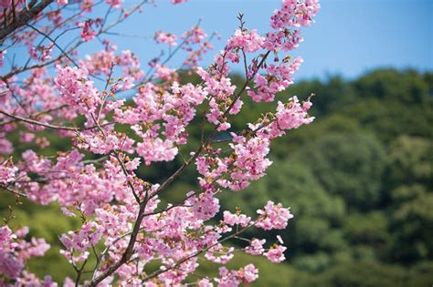 후쿠오카 3박4일 자유여행 알차게 다녀왔어요~ 네이버 블로그