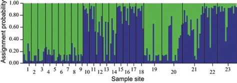Bayesian Assignment Probability Of Individuals Bars Within Each