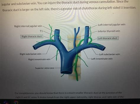 APEX Unit Fluids Acids Bases Electrolytes Transfusion Flashcards Quizlet