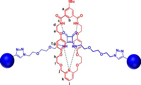 Squaramide‐based Heteroditopic 2 Rotaxanes For Sodium Halide Ion‐pair