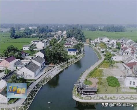 两带一区特色田园乡村行 黄花村瞄准生态做文章 水映黄花分外香 医药医改频道 东方养生
