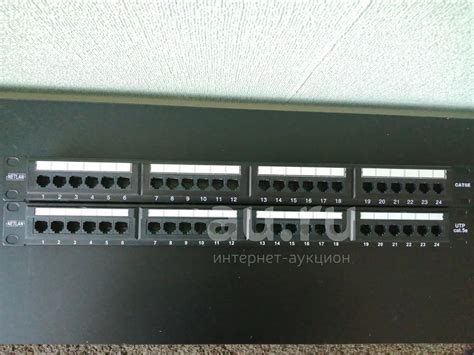 Патч панель Netlan Cat5e 24 порта — купить в Красноярске Состояние Б у Другое сетевые