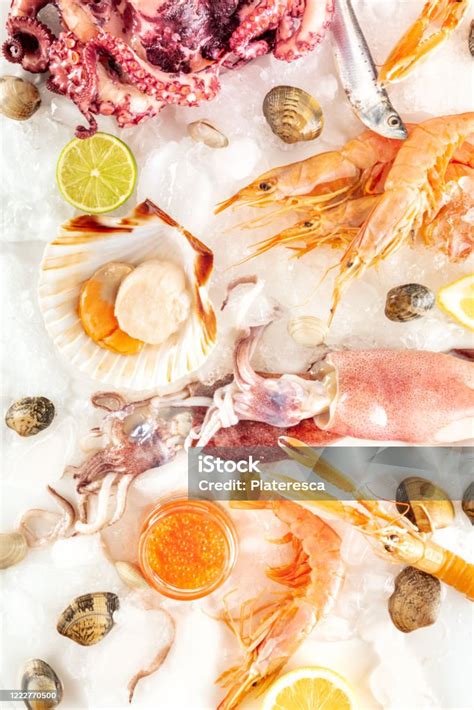 흰색 배경에 해산물 구색 얼음 위에서 촬영한 다양한 신선한 농산물 가리비에 대한 스톡 사진 및 기타 이미지 가리비 갑각류