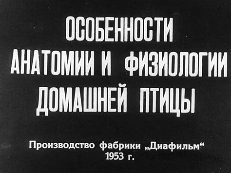Смотреть диафильм Перелётные и зимующие птицы