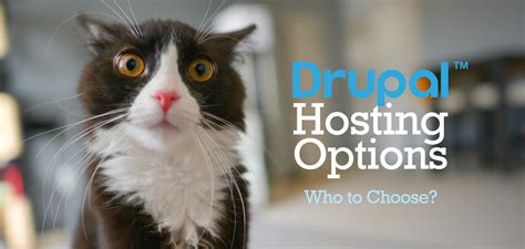 How To Quickly Add Ssl To Your Drupal Site Drupal Aid