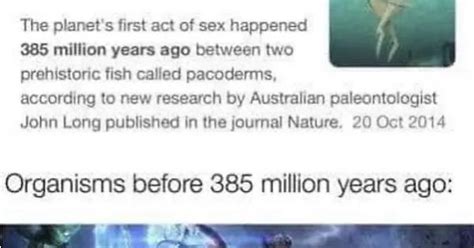 Fun Valentines Day Fact Sex Was Invented 385 Million Years Ago Album