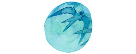 Resources — Stop Ecocide International