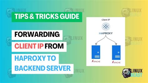Forwarding Client Ip Addresses From Haproxy To Apache2 Web Server
